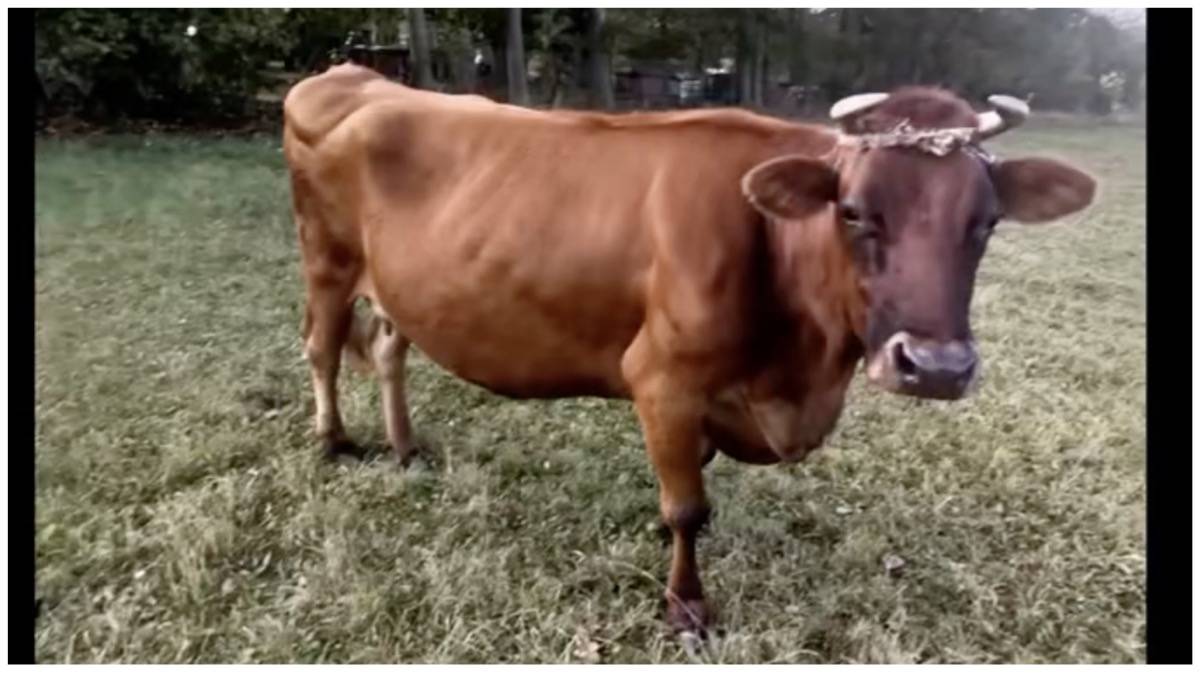 ELE24 - Wiadomości Łęczyca - Wiadomości - Chwytająca za serce historia ...